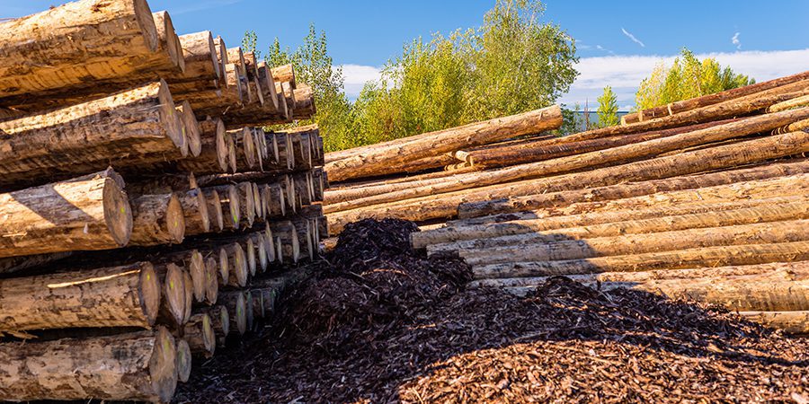 Pallets - Mercer Torgau